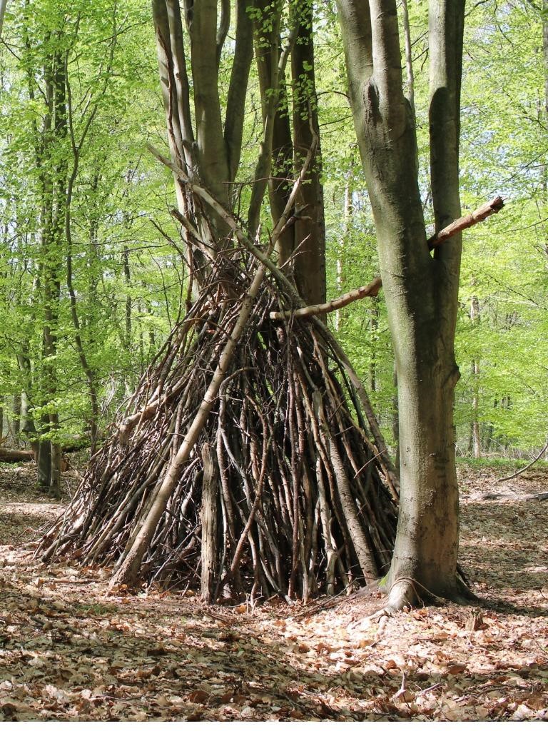 Build a Fort - NWF Green Hour